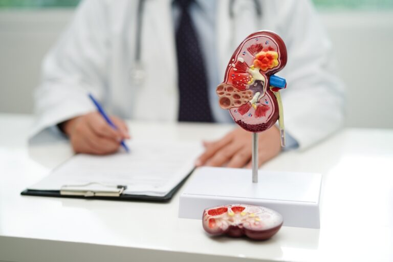 Creatinina: ¿Por Qué es Clave para Evaluar la Función Renal? Todo sobre ...